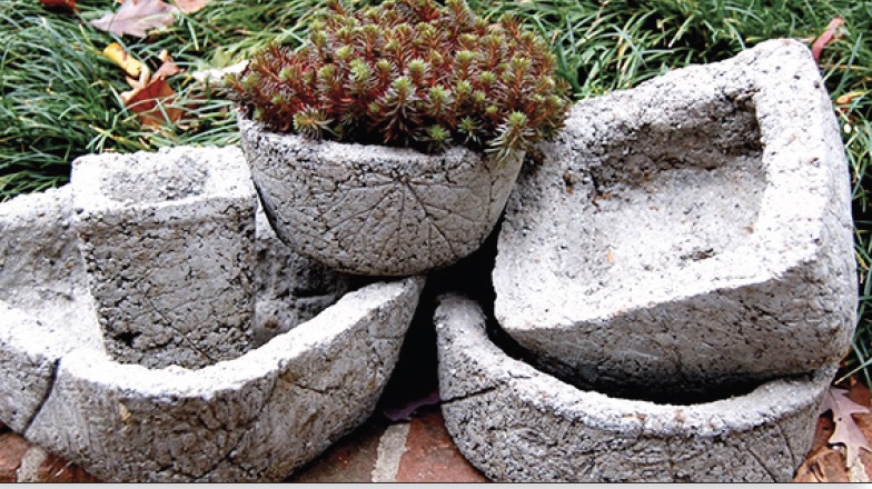 HYPERTUFA PLANTER WORKSHOP – Maplewood Garden Club